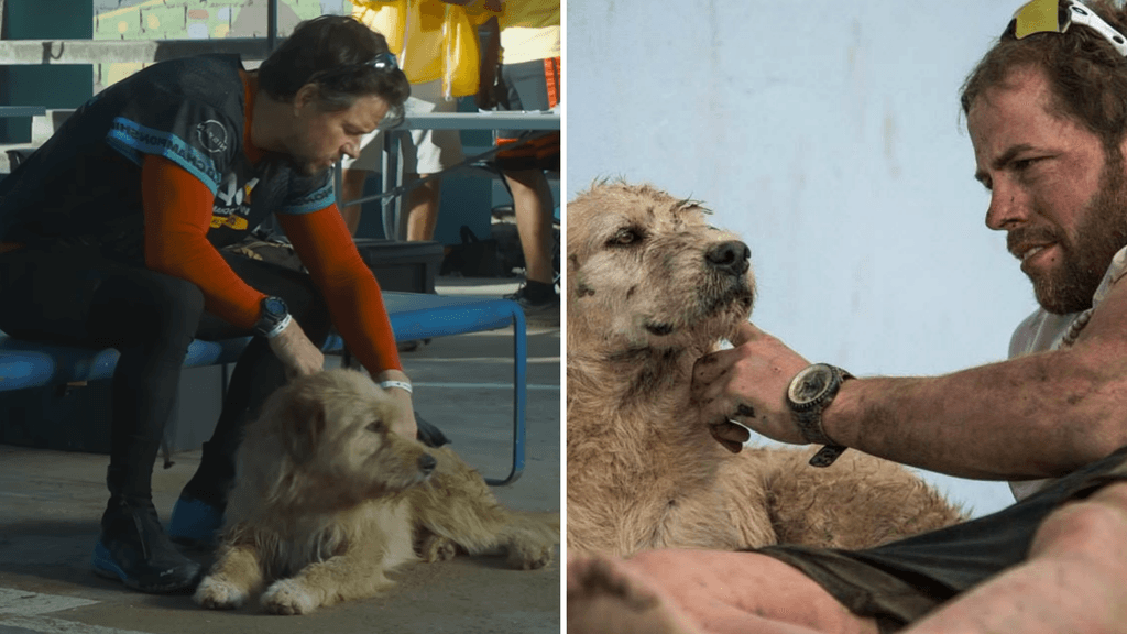 La película ‘Arthur: una amistad sin límites’ está basada en una ...