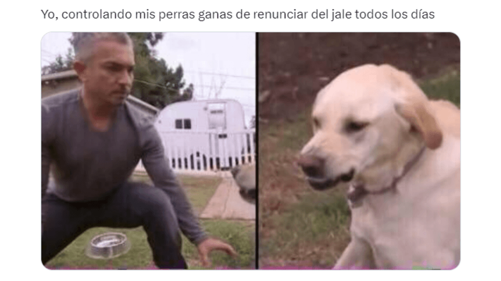 ¿Cómo saber si es momento de cambiar de trabajo? 13 memes para darte ...