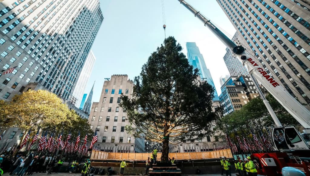 El árbol del Rockefeller Center ya adorna Nueva York: ¿Cuándo será el ...
