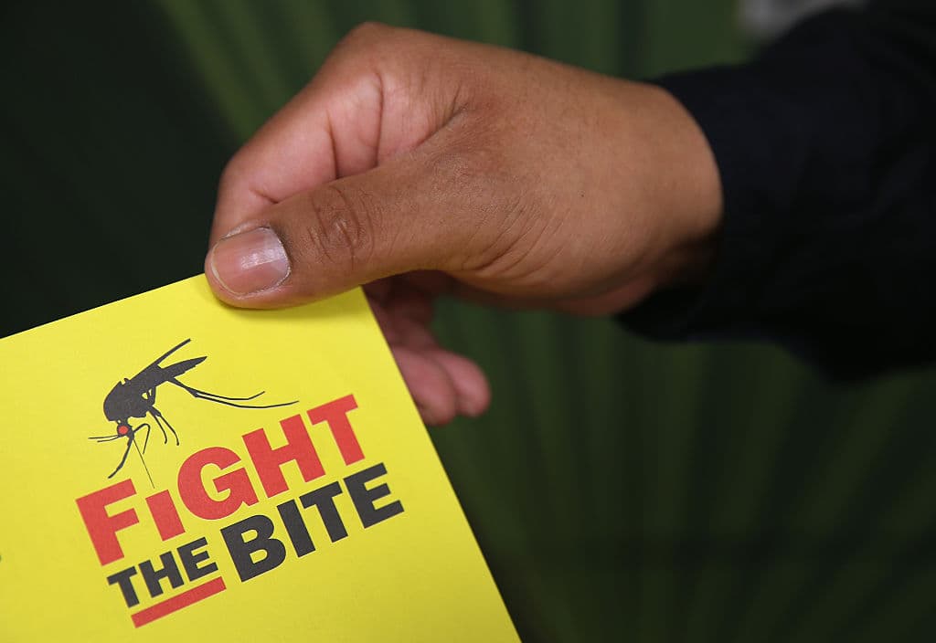 Confirman segundo nacimiento con microcefalia por zika en Puerto Rico ...