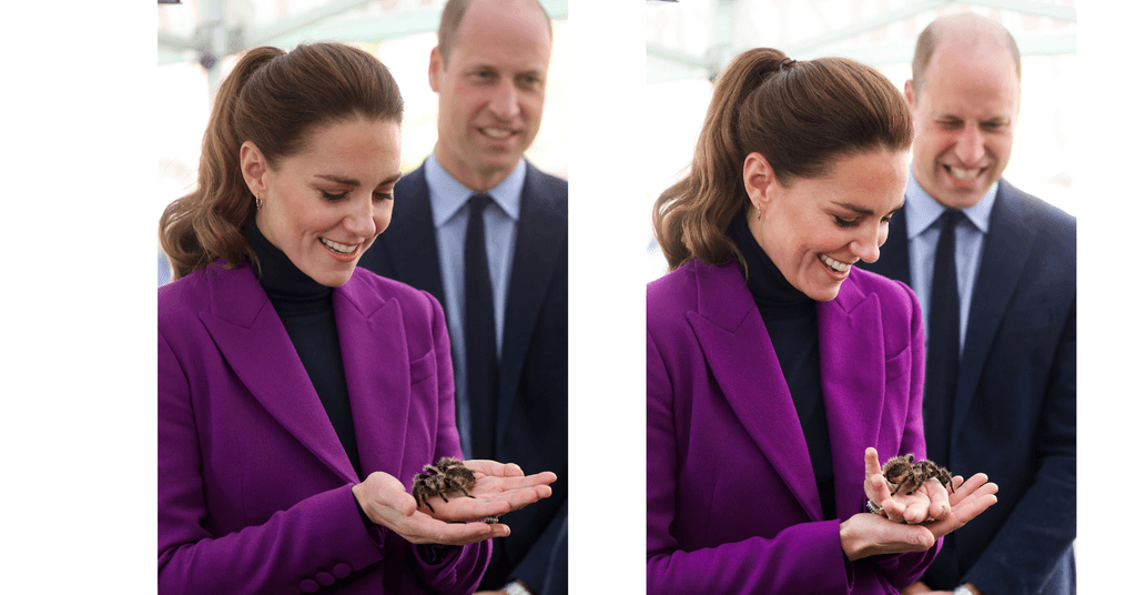 Kate Middleton sostuvo una tarántula en su visita a la universidad de ...