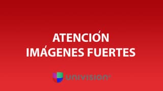 30 años del vuelo más trágico de Colombia: cuando Pablo Escobar hizo ...