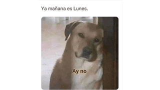 Los mejores memes de lunes: son tan graciosos que te ayudarán a ...