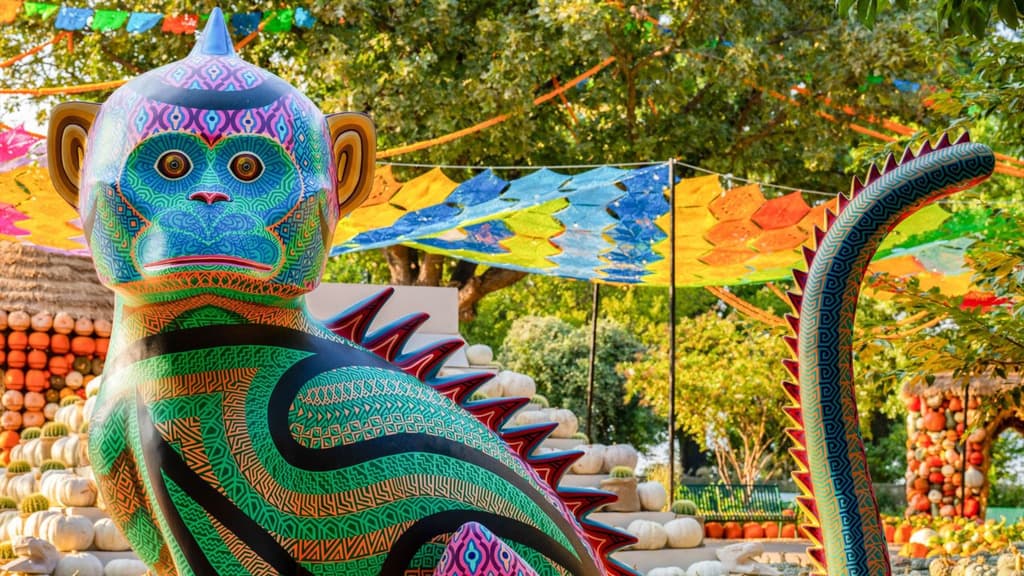 ¡Mundo México! Calabazas gigantes y arte mexicano transforman el Dallas ...
