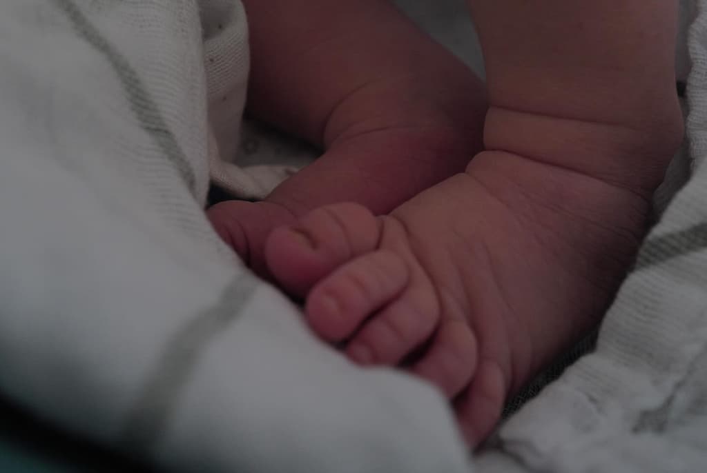 Nace hijo de Michelle Renaud y Matías Novoa: lo presentan en fotos ...