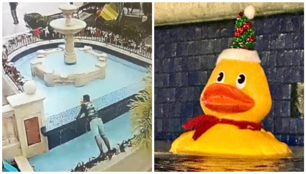 Alcalde de Corozal sabe quién es el ladrón del patito y solo espera que ...