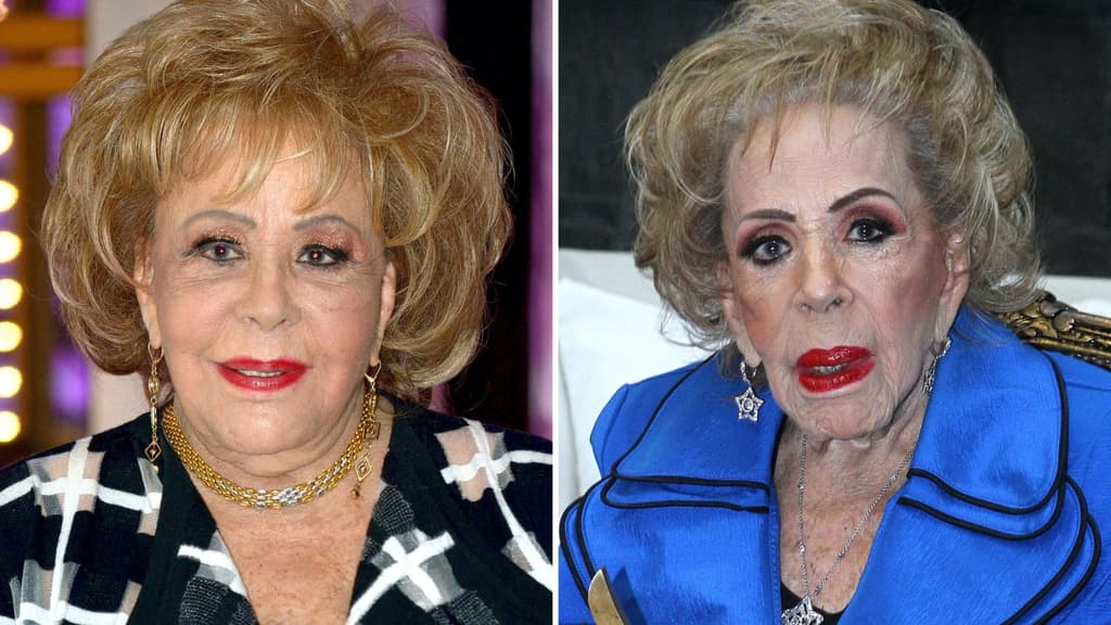 Familia de Silvia Pinal la recuerda a un año de su muerte en medio de ...
