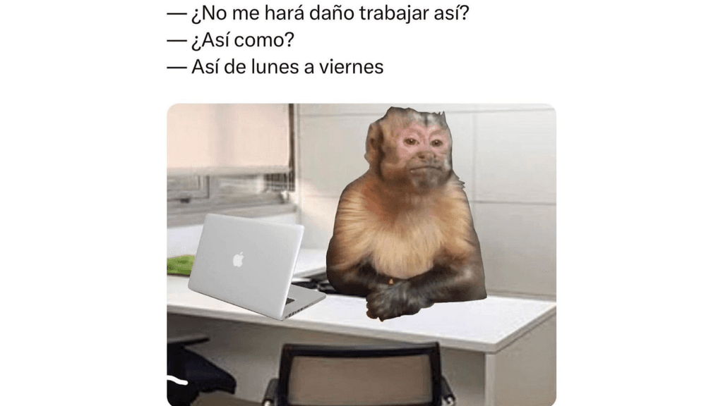 ¿Qué puedo hacer si tengo un jefe insoportable? 11 memes que le podrías ...