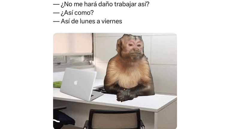 ¿Qué puedo hacer si tengo un jefe insoportable? 11 memes que le podrías ...