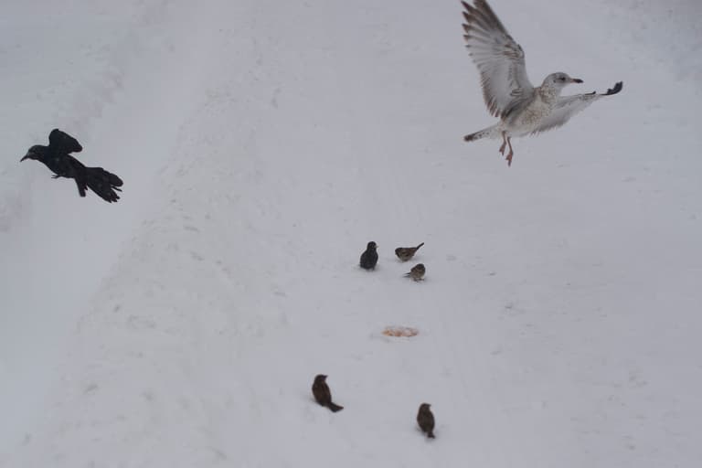 Ceguera temporal o temblores de tierra: las cosas increíbles que el ...