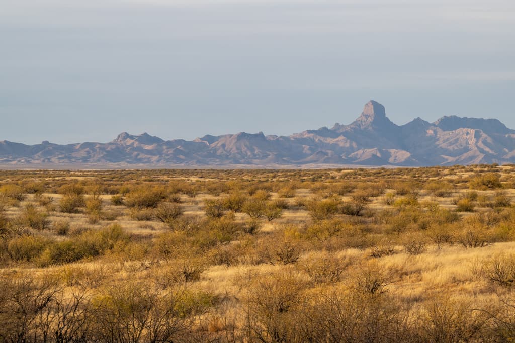 Las noticias del año 2025 en Arizona: Resumen de lo más importante ...