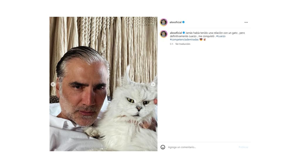 Alejandro Fernández inicia nueva relación, pero no es lo que ...