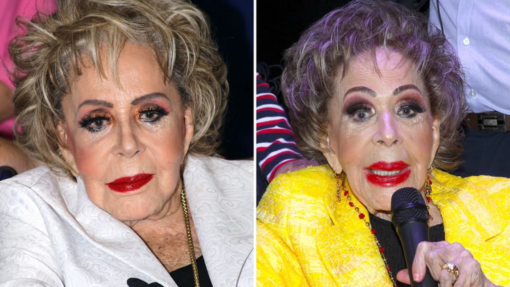 Familia de Silvia Pinal la recuerda a un año de su muerte en medio de ...