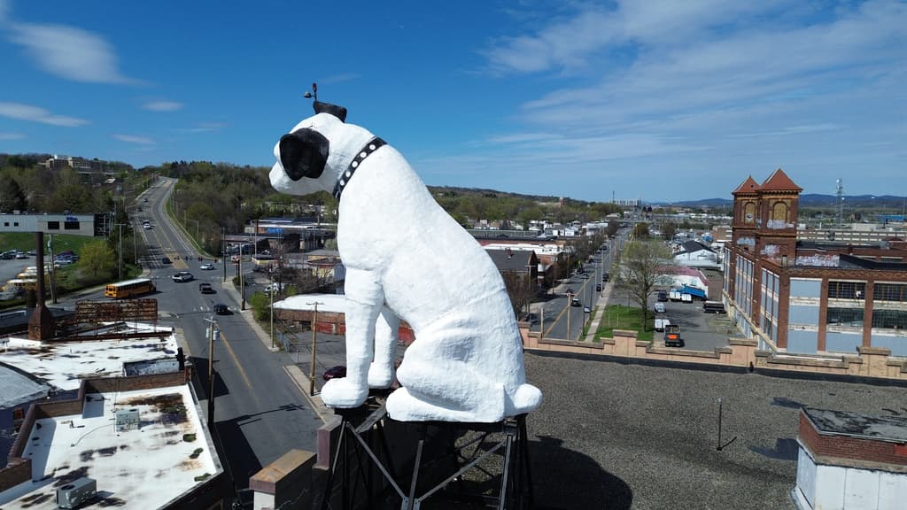 Nipper no ladra, ni muerde, pero el perro está en peligro tras casi 70 ...