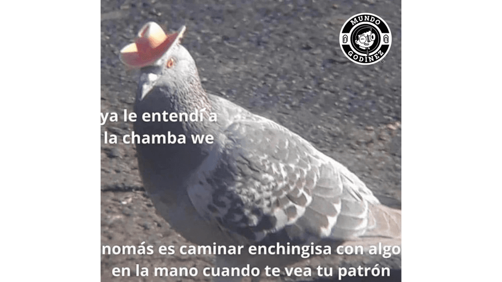 ¿Qué puedo hacer si tengo un jefe insoportable? 11 memes que le podrías ...