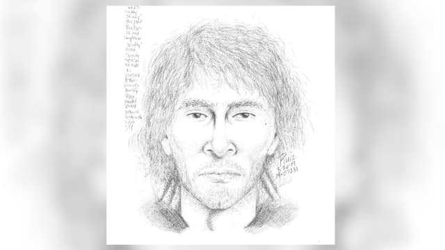 "La agarró del brazo pero ella peleó": buscan a hombre que atacó a una ...