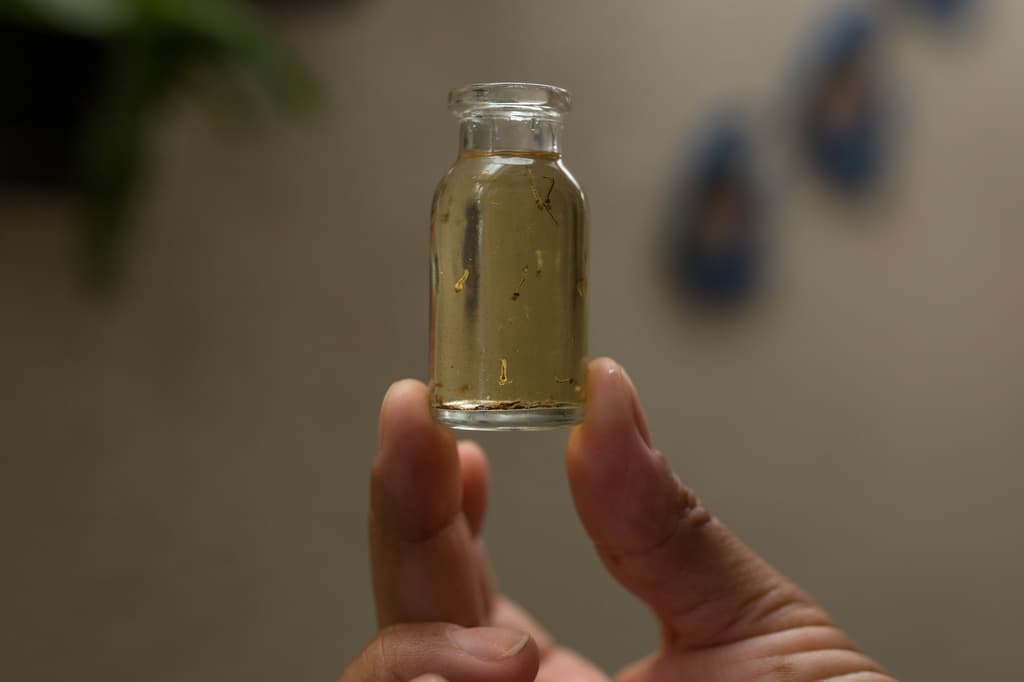 Puerto Rico ya tiene 33,455 casos confirmados de zika | Univision ...