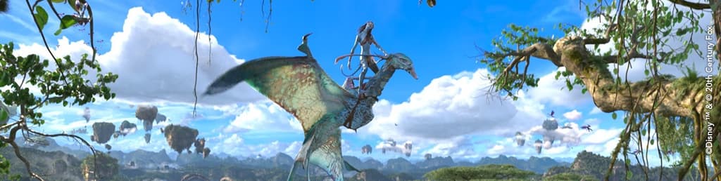 Conoce al «pez pene»: una peculiar criatura marina que es una delicia ...