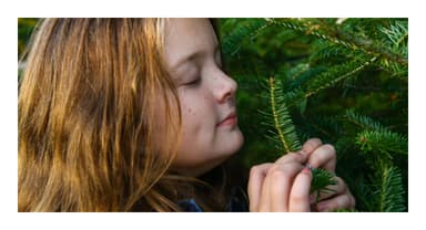 La policefalia: animales con más de una cabeza | Explora | Univision