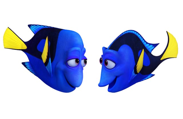 Conoce a los nuevos personajes de Finding Dory | Entretenimiento Cine y ...
