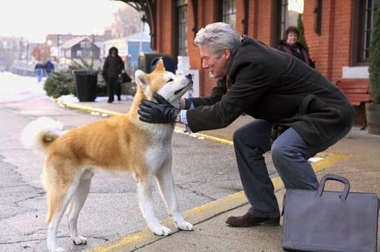 7 curiosidades sobre Hachi: A Dog's Tale, una película para emocionarse ...