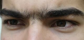 ¿Por qué algunas personas tienen las cejas unidas y otras no? | Explora ...