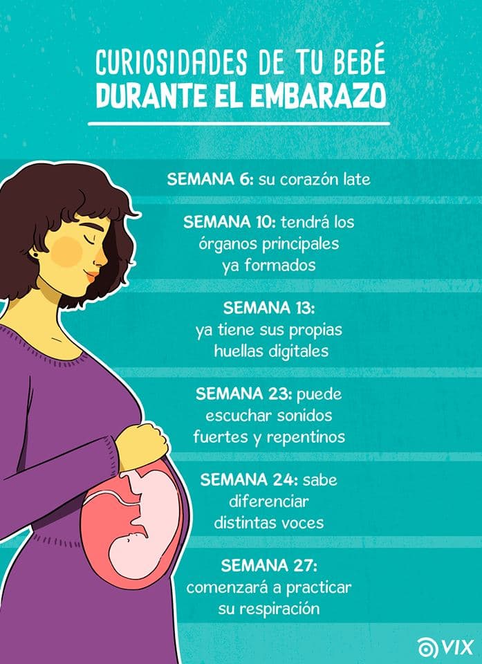 ¿De cuántos meses está Meghan? Especialistas explican cómo crece la ...