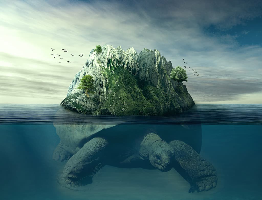 ¿El mundo es sostenido por una tortuga? Muchas culturas lo creían, te ...