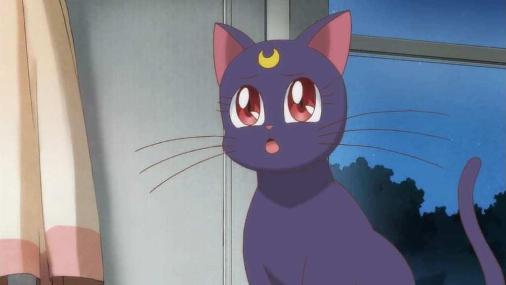 Un personaje de Sailor Moon sería hombre originalmente y otros datos ...