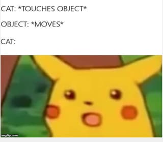 El origen de «Pikachu sorprendido» y los 13 mejores memes que Internet ...