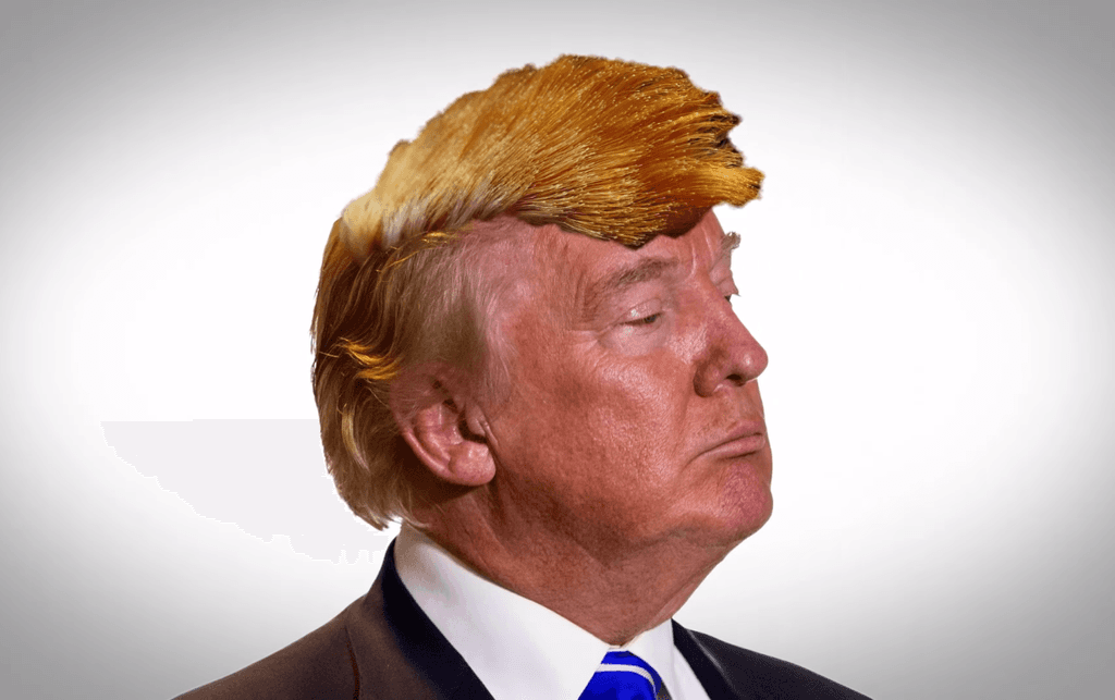 Conoce al divertido trumpapillar, ¿la oruga que inspiró el ridículo ...