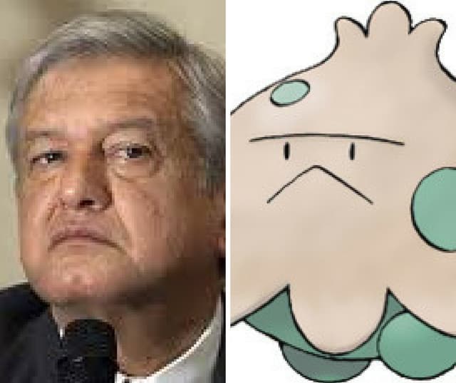 Estas son las pruebas de que los pokémon están inspirados en especies ...