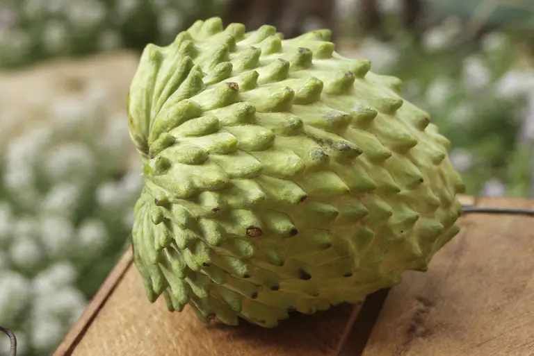 ¿Qué es eso? Descubre 11 frutas del mundo que aún no has probado ...