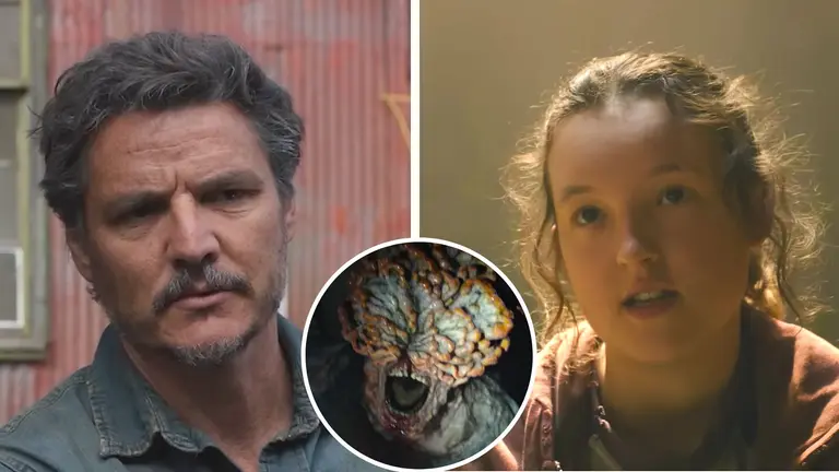 'The Last of Us': así es en el mundo real el hongo Cordyceps que infecta a los humanos en la ...