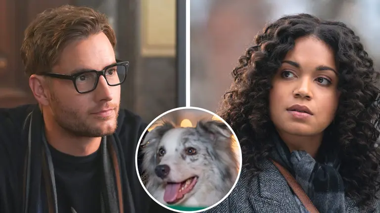 'The Noel Diary' o 'El diario de Noel', película de Netflix: la historia de perra Ava basada en ...