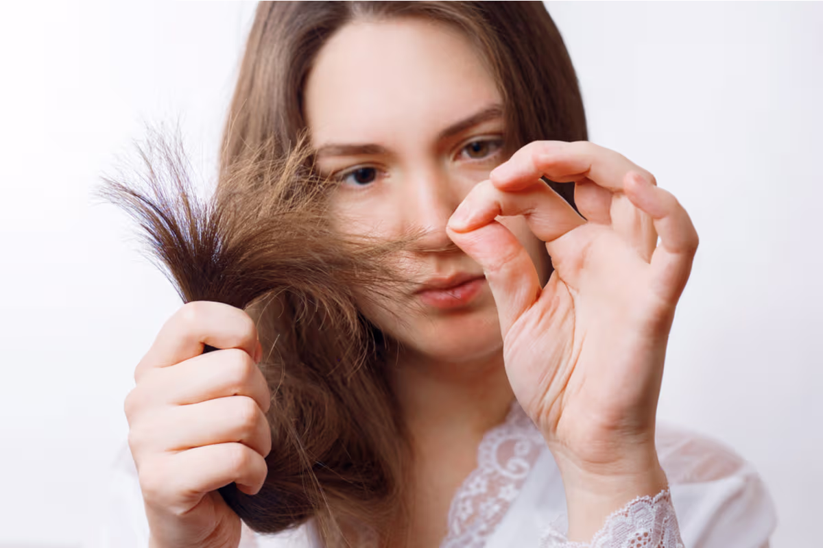 No cortes tu cabello, las puntas abiertas se pueden reparar con 3 ...