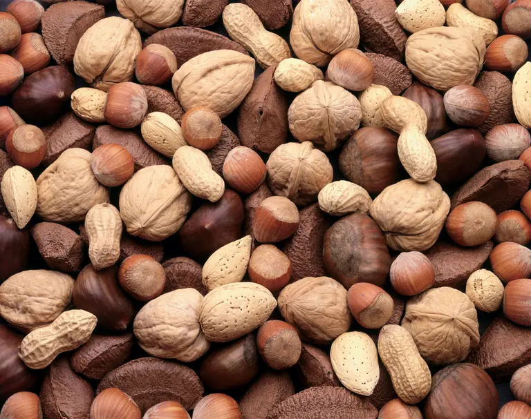 Estos son los mejores frutos secos para tu salud... | Estilo de Vida Bienestar | Univision