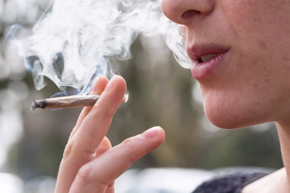 Propiedades curativas de la marihuana | Estilo de Vida Bienestar ...