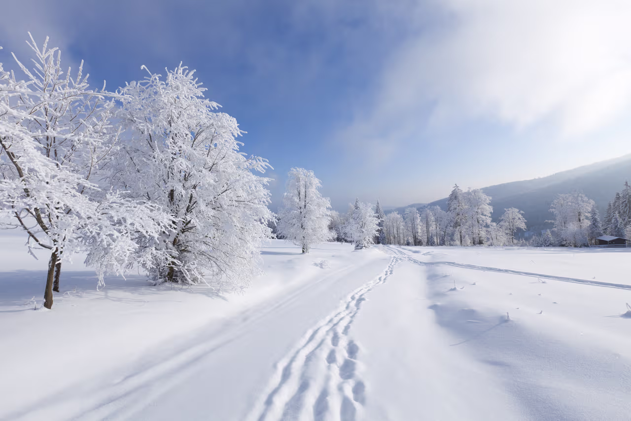 ¿Cómo se forma la nieve? | Explora | Univision
