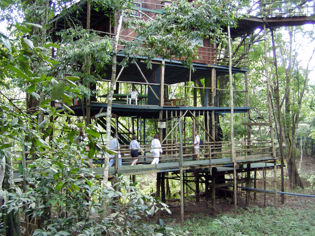 Los hoteles árbol en el Amazonas | Explora | Univision
