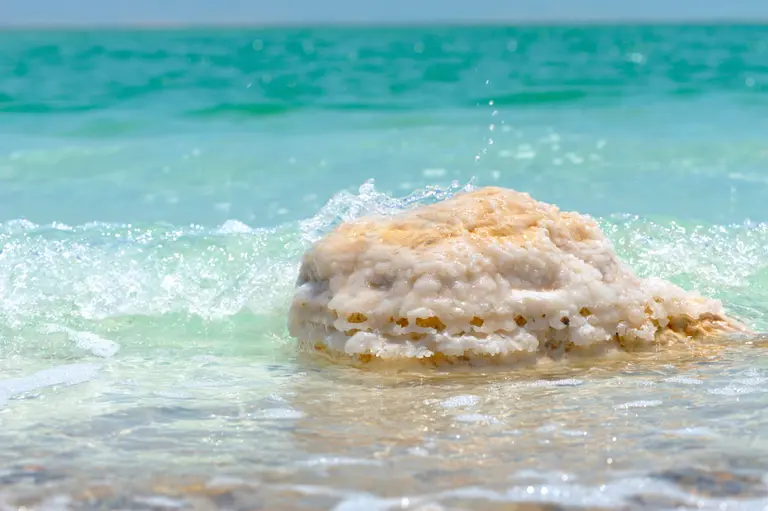 ¿Por qué el mar es salado? | Explora | Univision