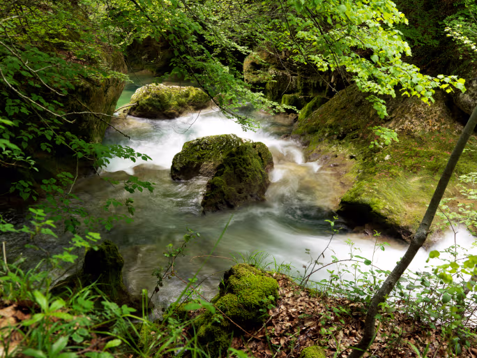 Turismo natural en Navarra: el Parque Natural de Urbasa y Andía ...