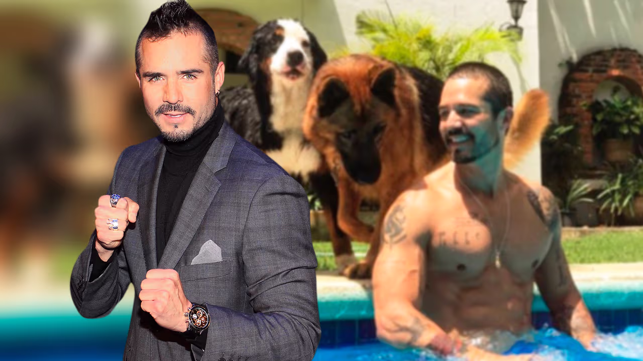 José Ron comparte lo que vivió para alcanzar su mayor logro | Univision ...