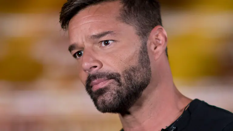 Ricky Martin y su sobrino: el cantante logra orden de restricción en ...