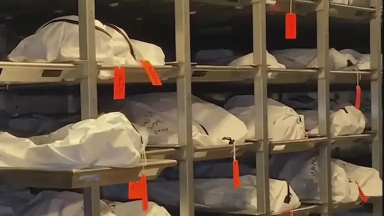 Organización Colibrí Center en Tucson ayuda a familias a encontrar a ...