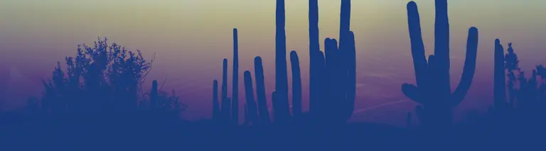 Somos Univision Arizona líder de noticias en todo el estado | Univision ...