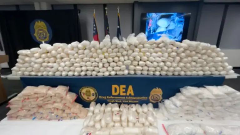 DEA incauta más de 1,000 libras de drogas y arresta a cinco vinculados ...