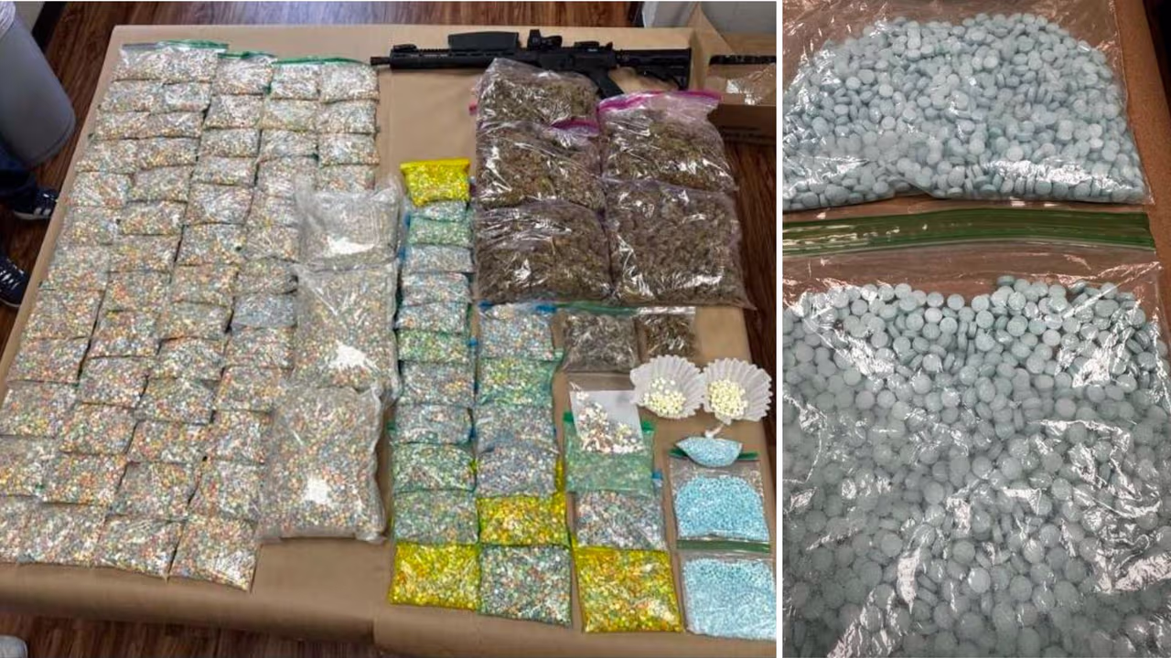 Desarticulan red de narcotráfico: decomisan drogas, armas y documentos ...