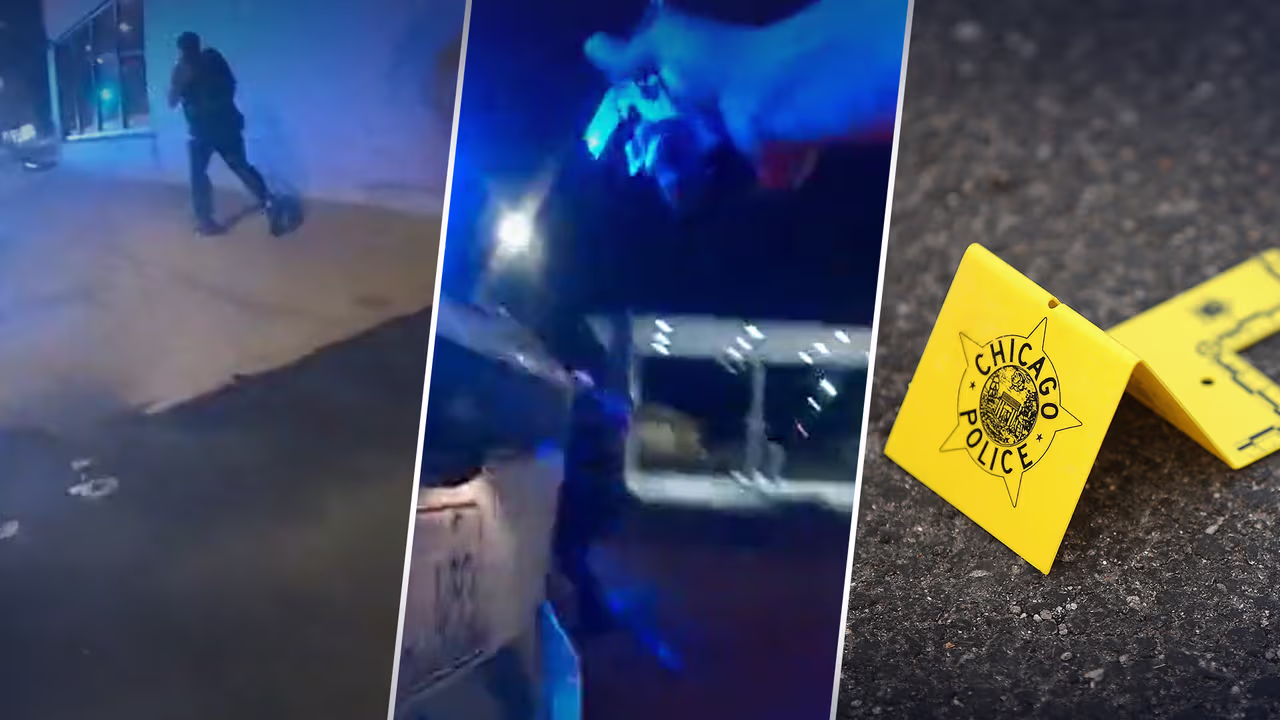 Xavier Baez y Julian Zamora son arrestados luego de participar en un ...
