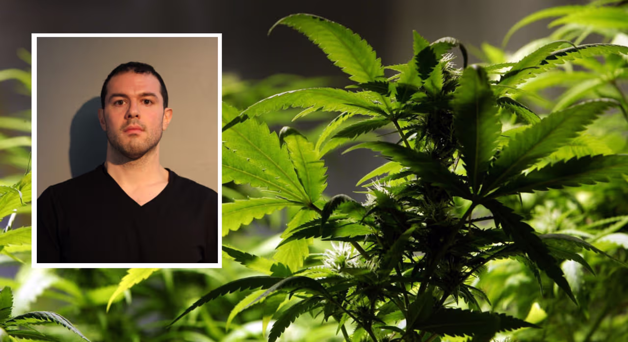 Acusan a Frank Vargas de posesión de gomitas de marihuana y cannabis ...